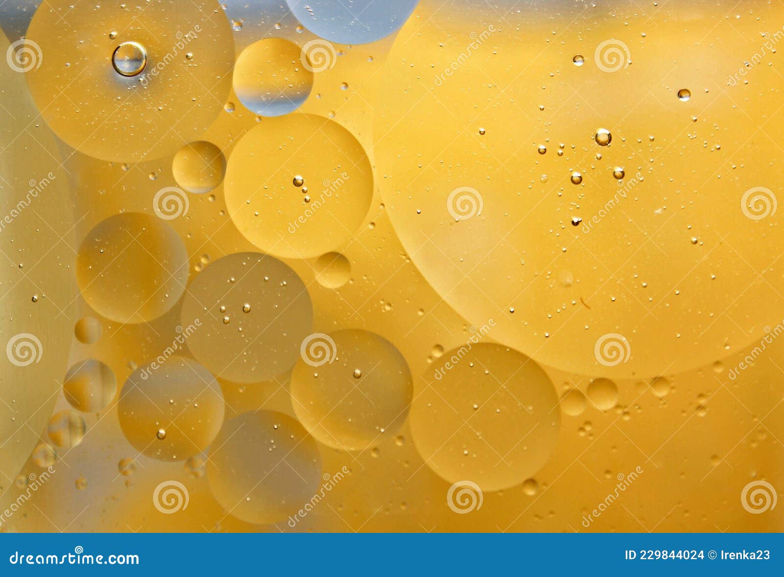 Oil water bubbles. stock photo. Image of plant, leaf - 229844024