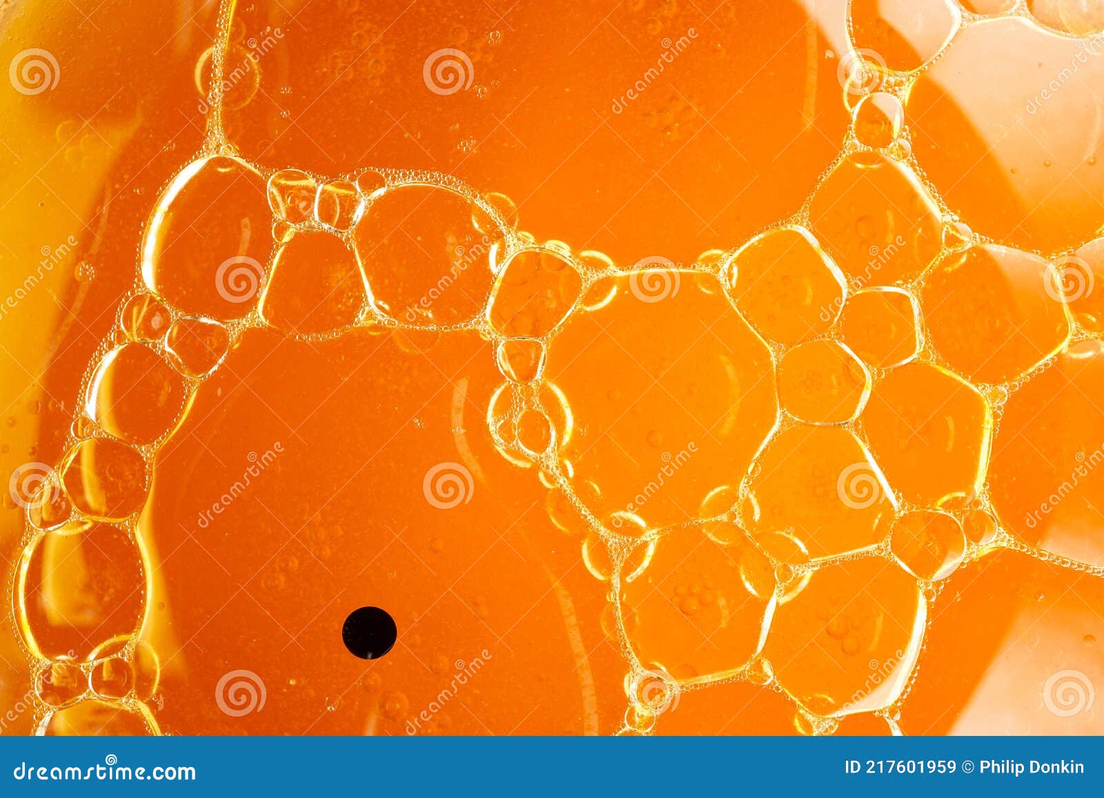 Oil and Water Patterns Randomly Created Due To Oil Being Lighter Than ...