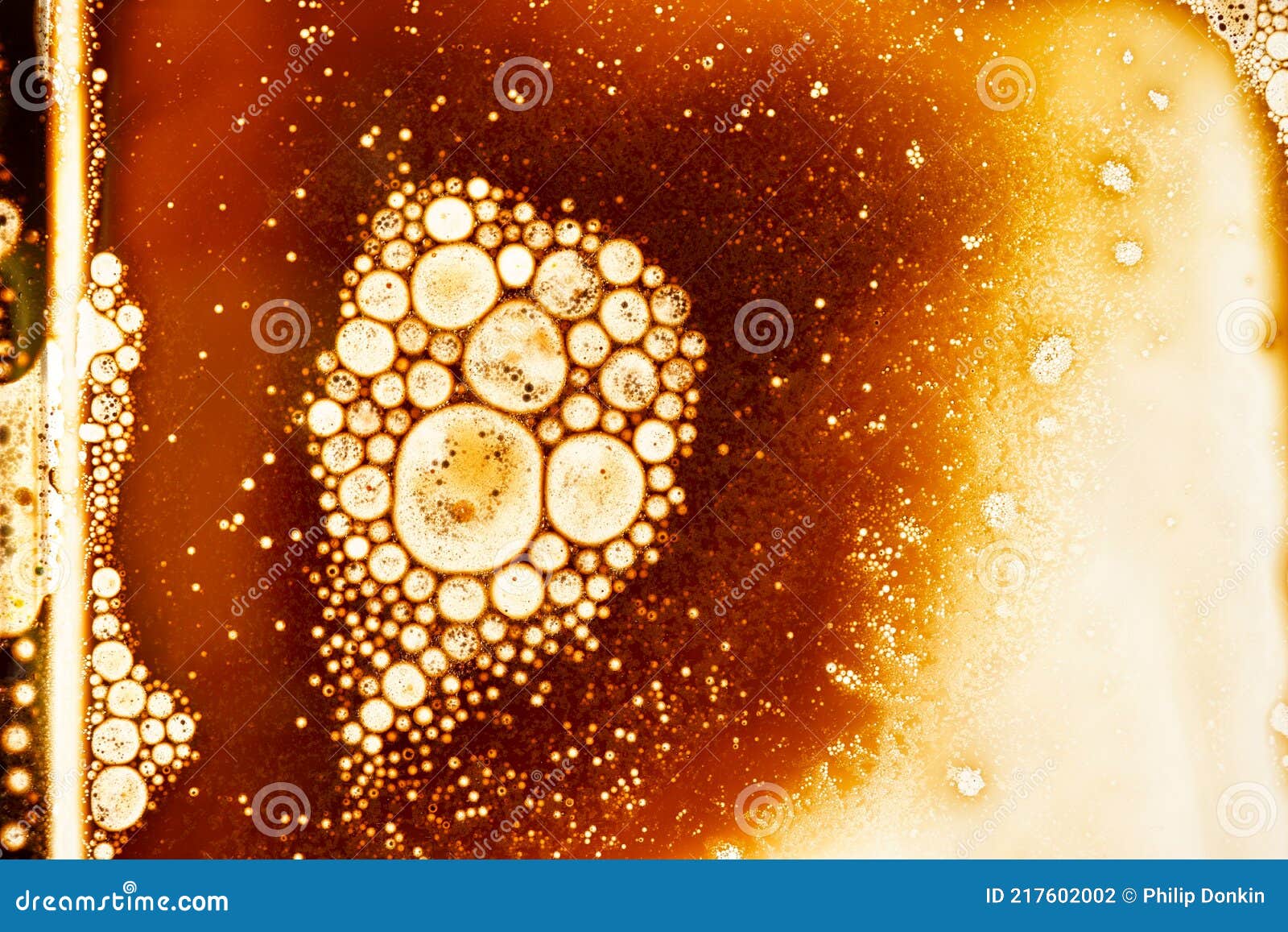 Oil and Water Patterns Randomly Created Due To Oil Being Lighter Than ...