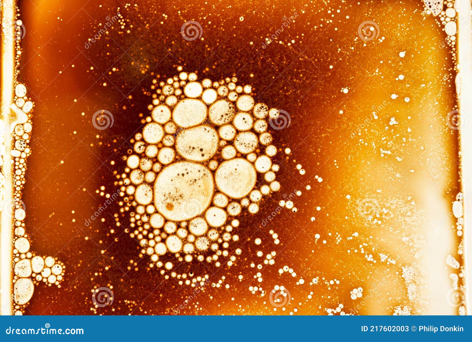 Oil and Water Patterns Randomly Created Due To Oil Being Lighter Than ...