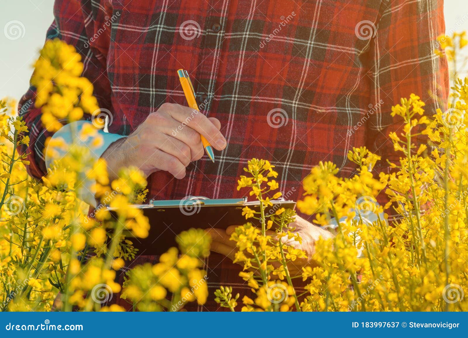 Man Farmer Writing Checklist For Farm Work On Agricultural Fields At ...