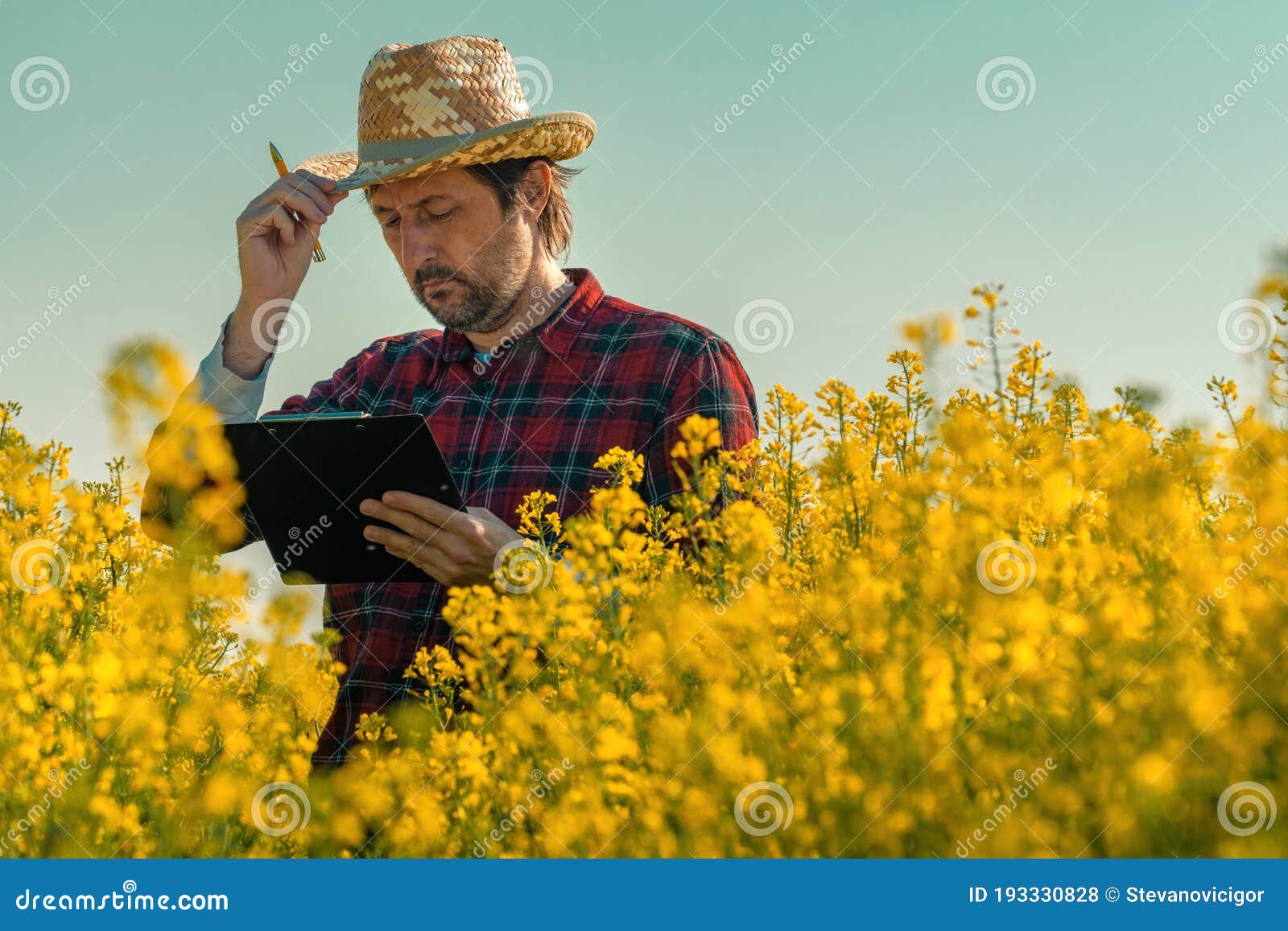 Oilseed Farmer Writing Notes on Clipboard Notepad in Blooming Field ...
