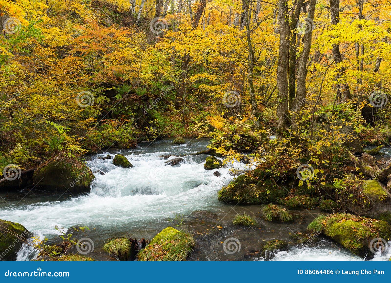Oirase Stream with Waterfall Stock Photo - Image of country, natural ...