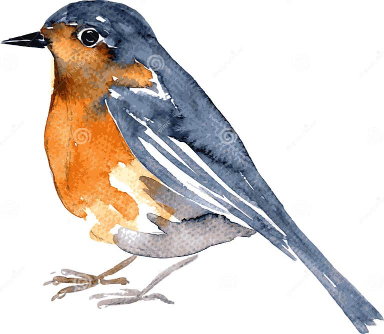 Oiseau De Dessin D'aquarelle Illustration de Vecteur - Illustration du ...