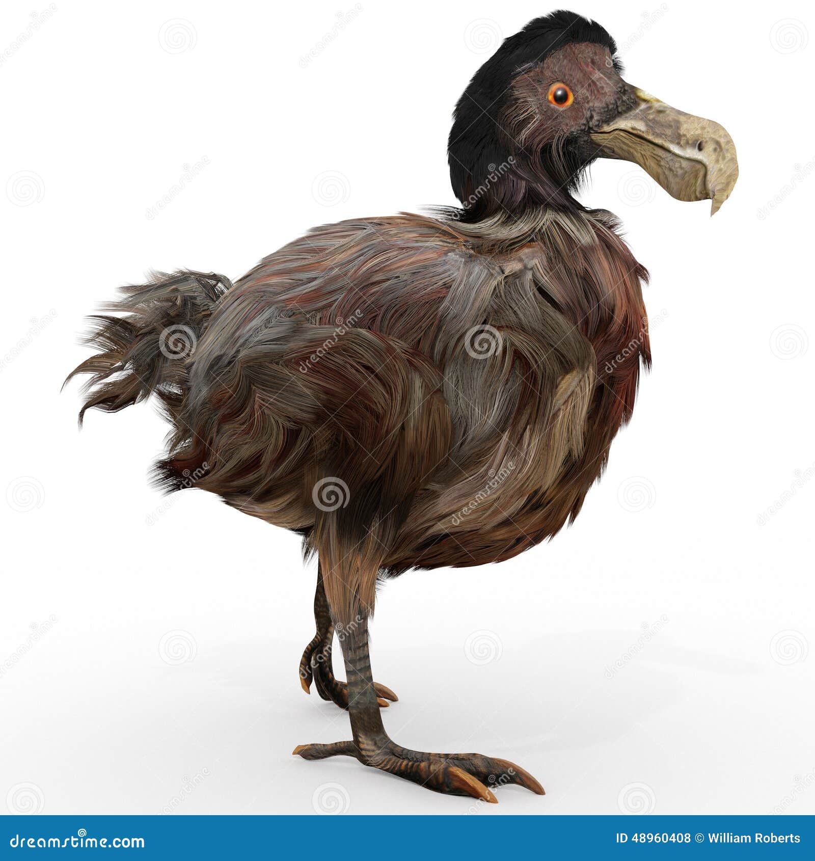 Oiseau de dronte illustration stock. Illustration du clavettes - 48960408