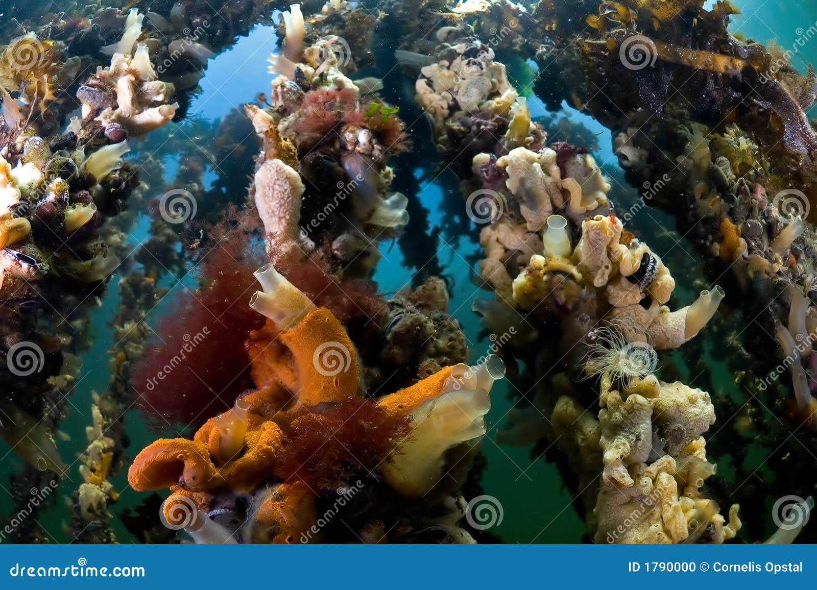 Oister Farm Oosterschelde Netherlands Stock Photo - Image of cold, deep ...