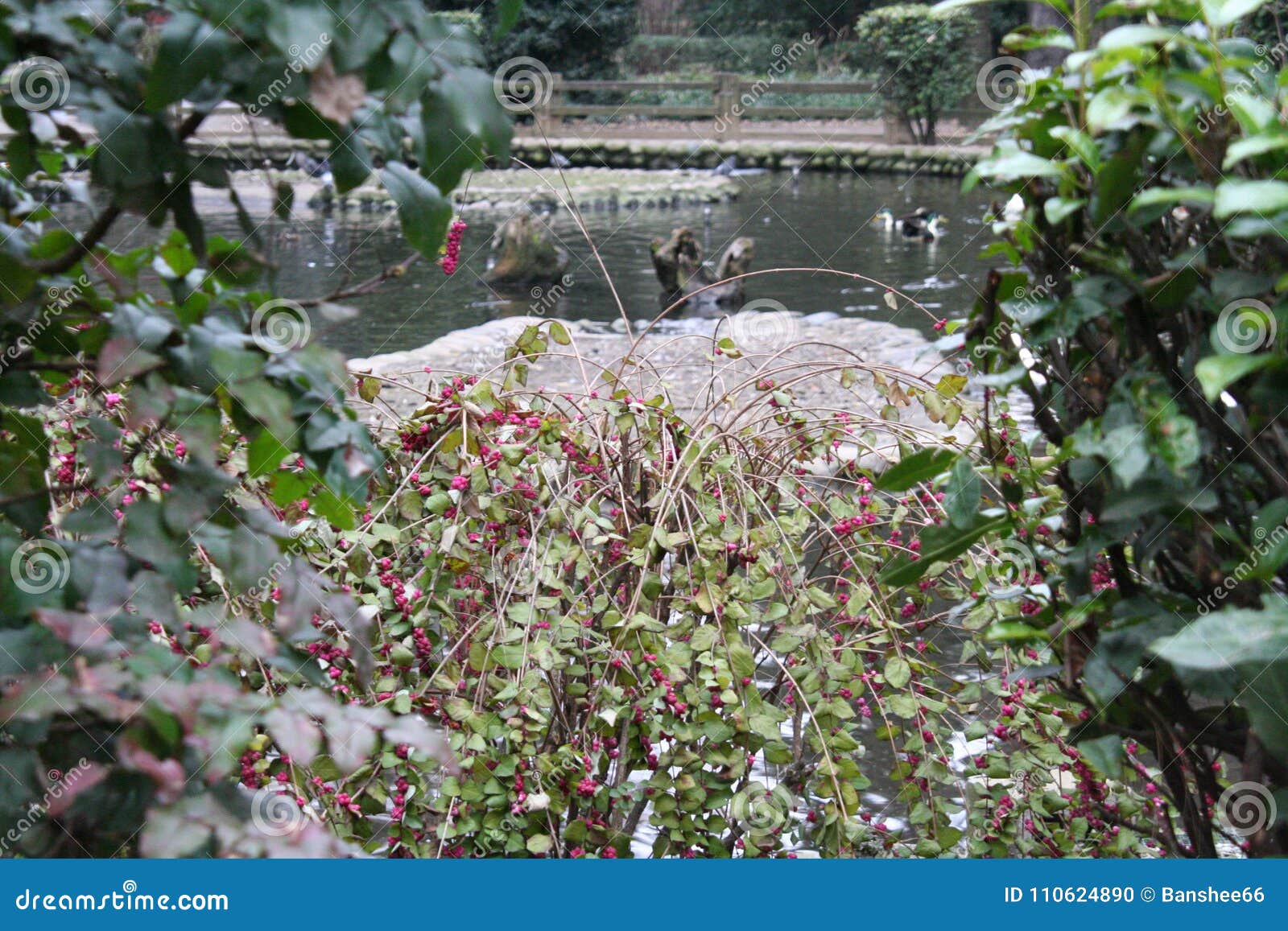 Ojeada De Un Parque De La Ciudad Foto de archivo - Imagen de bosque ...