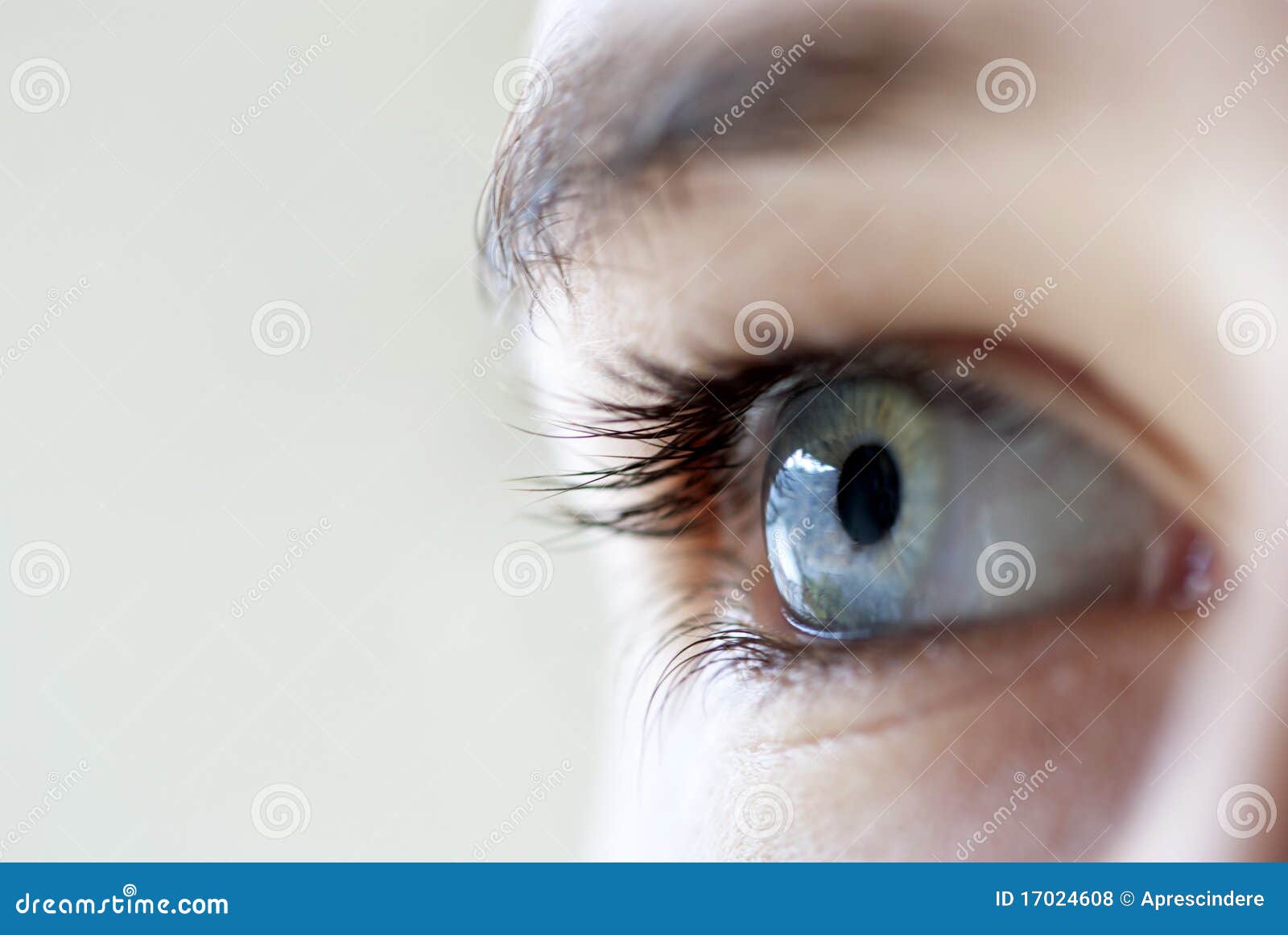 Ojo foto de archivo. Imagen de humano, blanco, adulto - 17024608