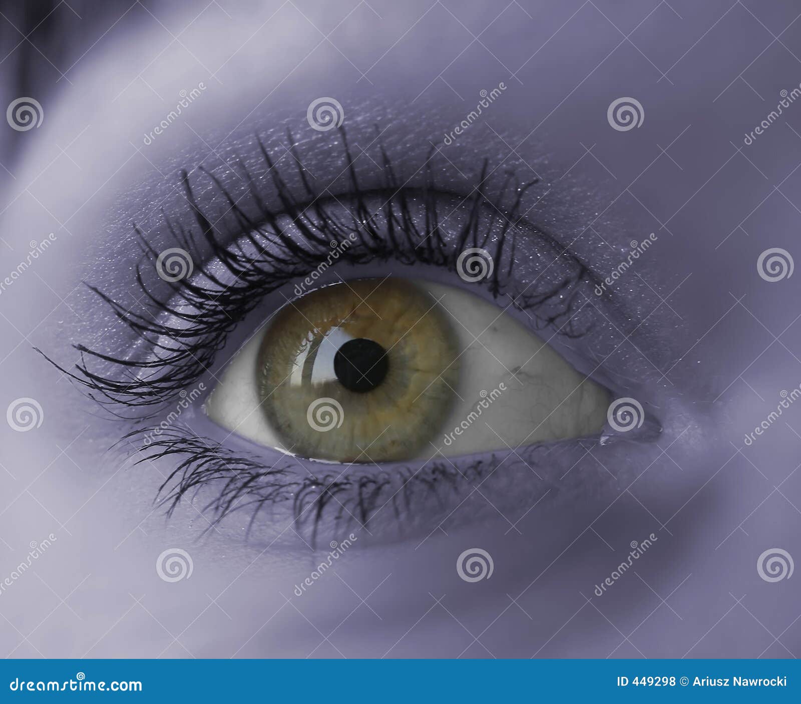 Ojo foto de archivo. Imagen de latigazo, gente, fondo, mirada - 449298