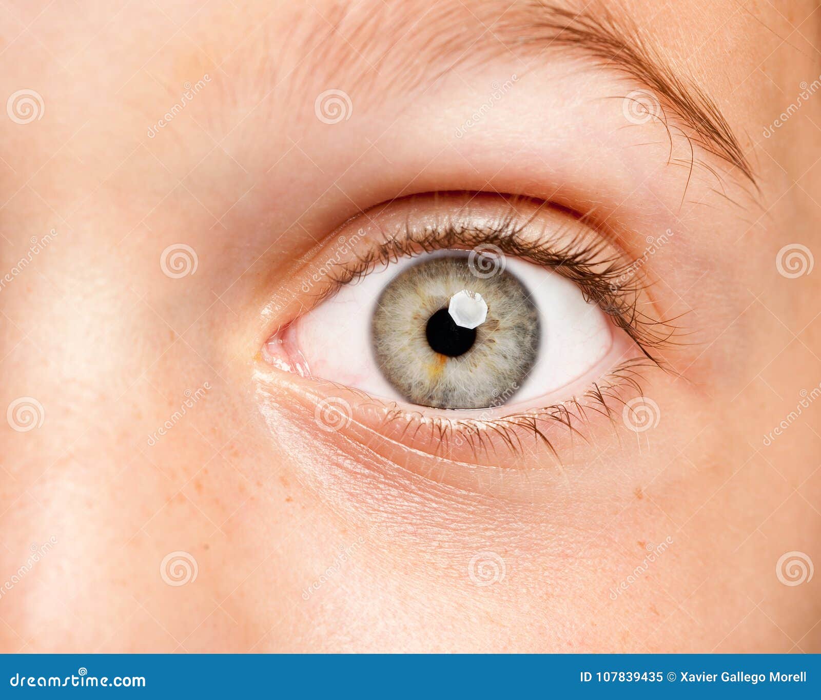 Ojo abierto imagen de archivo. Imagen de observar, pupila - 107839435