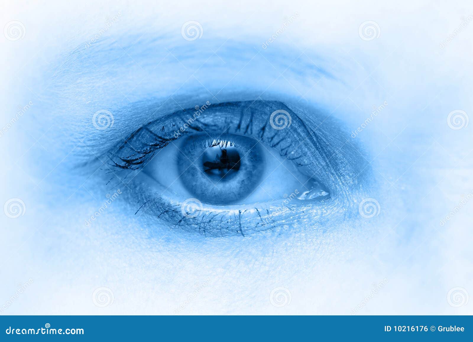 Ojo azul foto de archivo. Imagen de congelado, cierre - 10216176