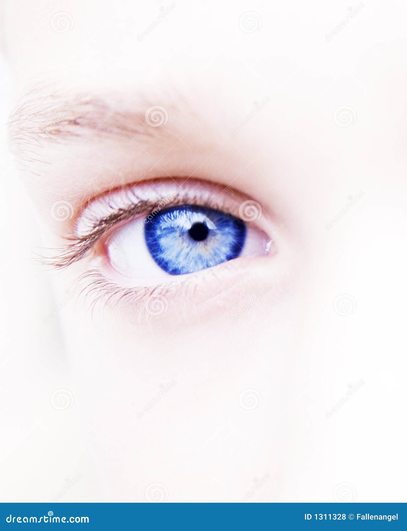 Ojo azul foto de archivo. Imagen de encanto, cristal, diafragma - 1311328