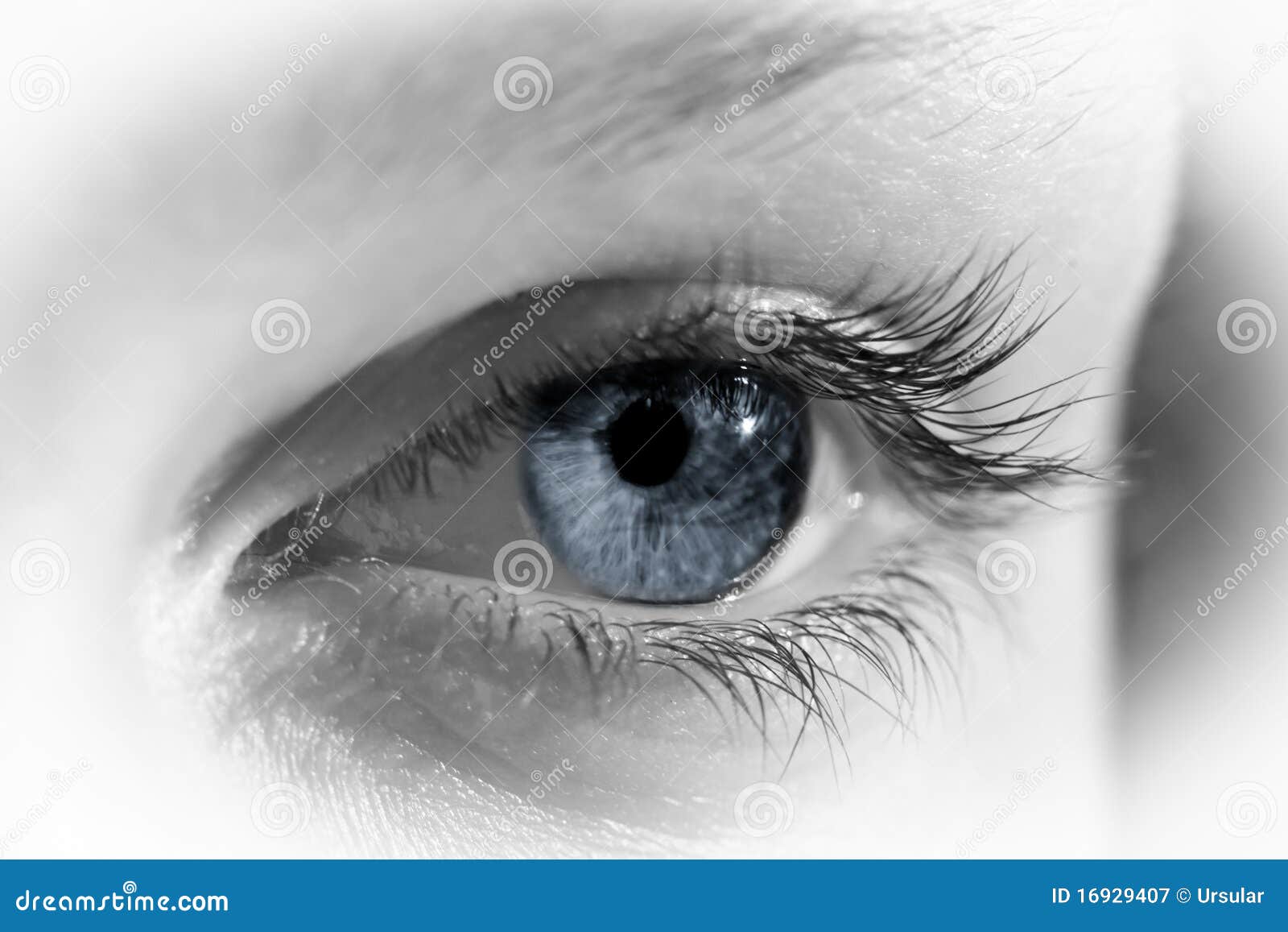 Ojo azul imagen de archivo. Imagen de todos, hermoso - 16929407