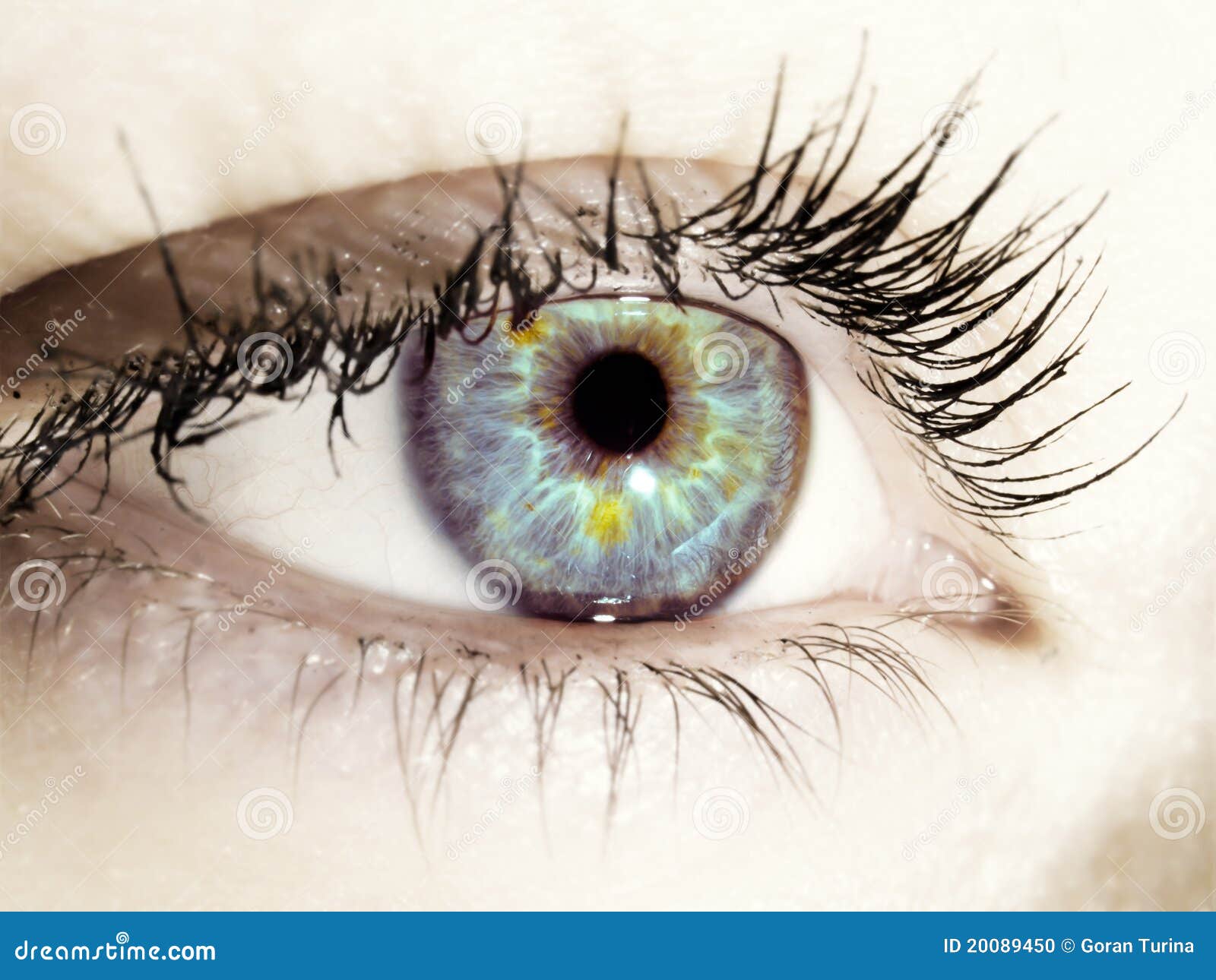 Ojo azul foto de archivo. Imagen de sostenido, hermoso - 20089450