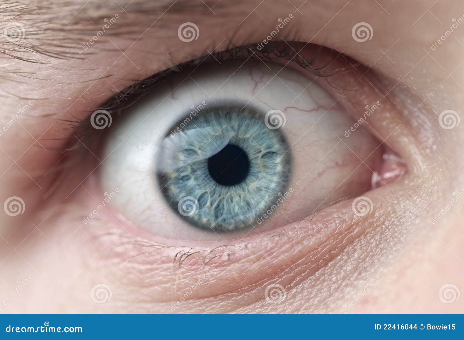 Ojo azul foto de archivo. Imagen de deslumbrar, detalle - 22416044