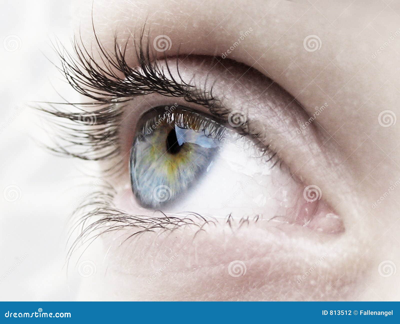 Ojo azul foto de archivo. Imagen de azul, adulto, paga - 813512