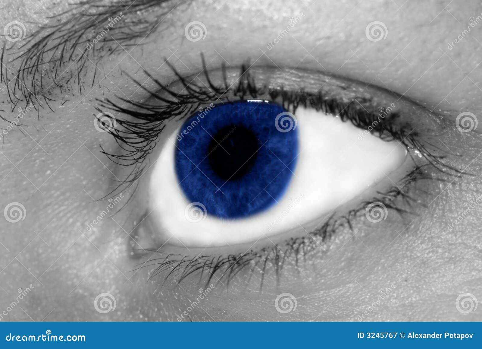 Ojo Azul De La Mujer Imagen. Imagen: 3245767