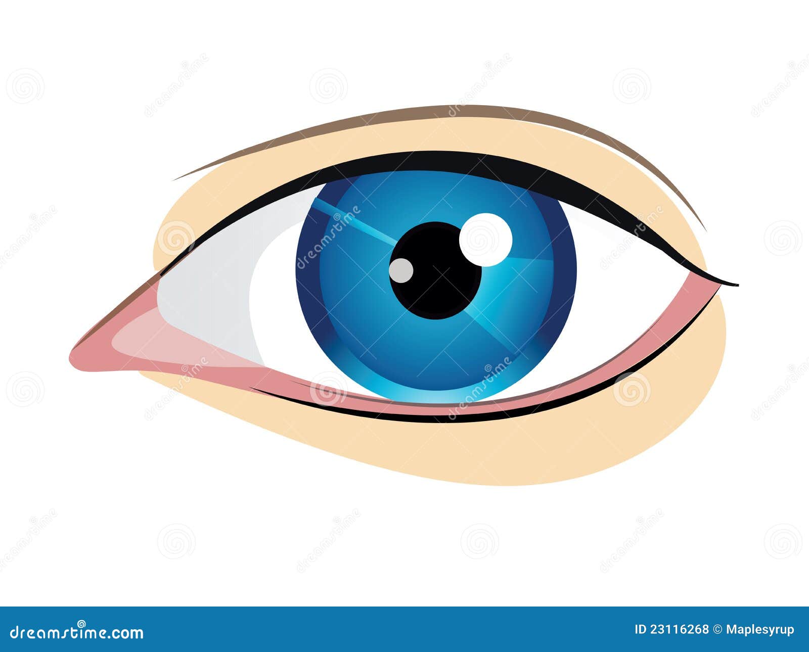 Ojo azul del vector ilustración del vector. Ilustración de azul - 23116268