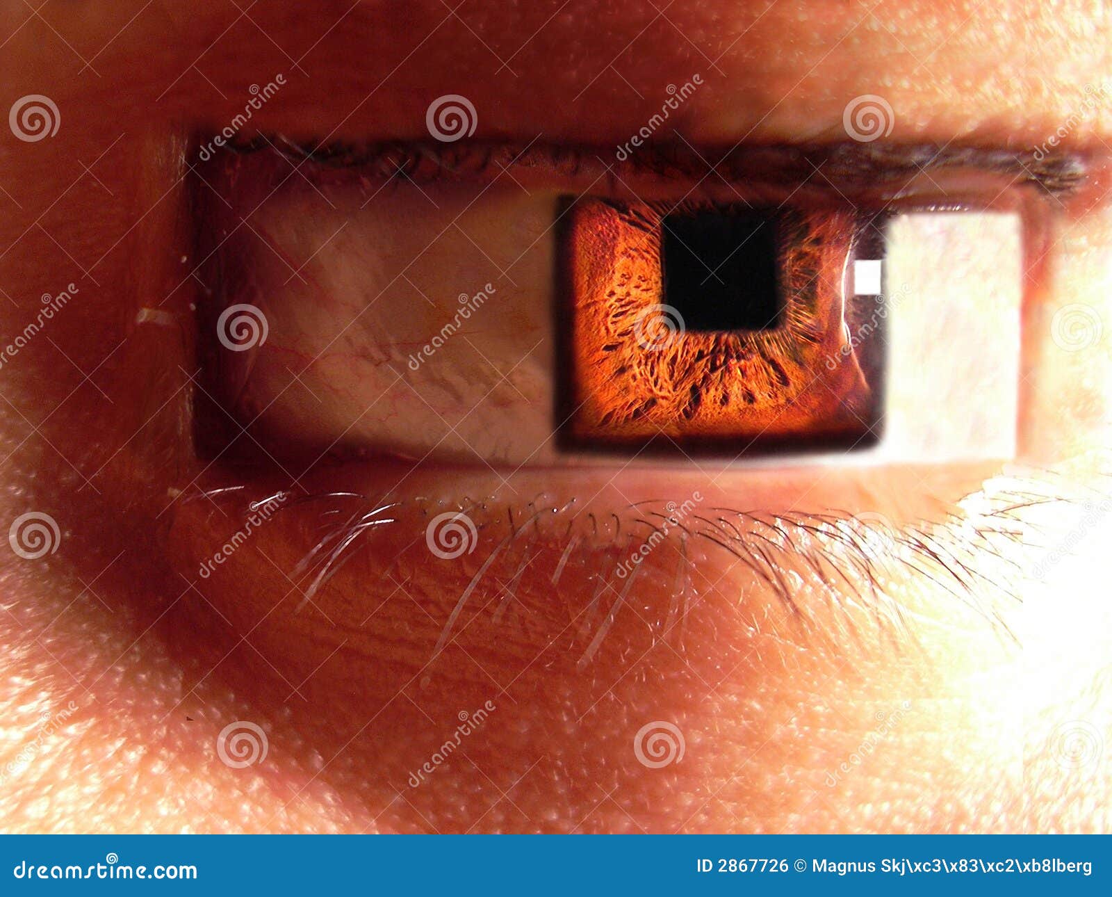 Ojo cuadrado foto de archivo. Imagen de extremo, manipulado - 2867726