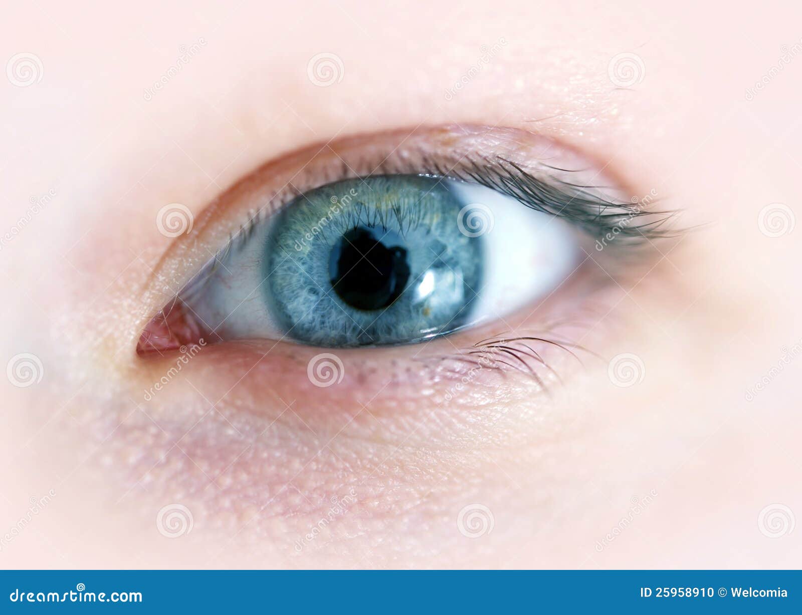 Ojo femenino foto de archivo. Imagen de amplio, piel - 25958910