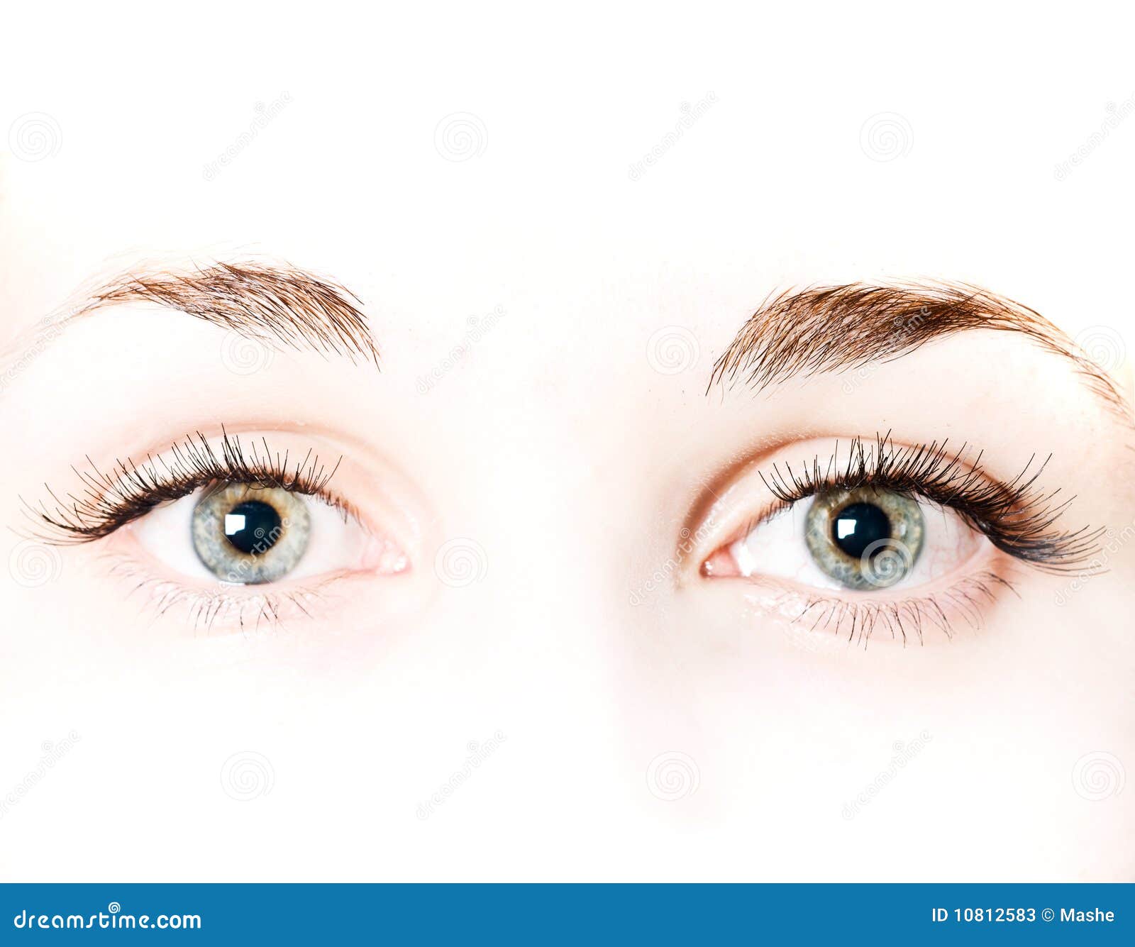 Ojo femenino hermoso macro imagen de archivo. Imagen de femenino - 10812583