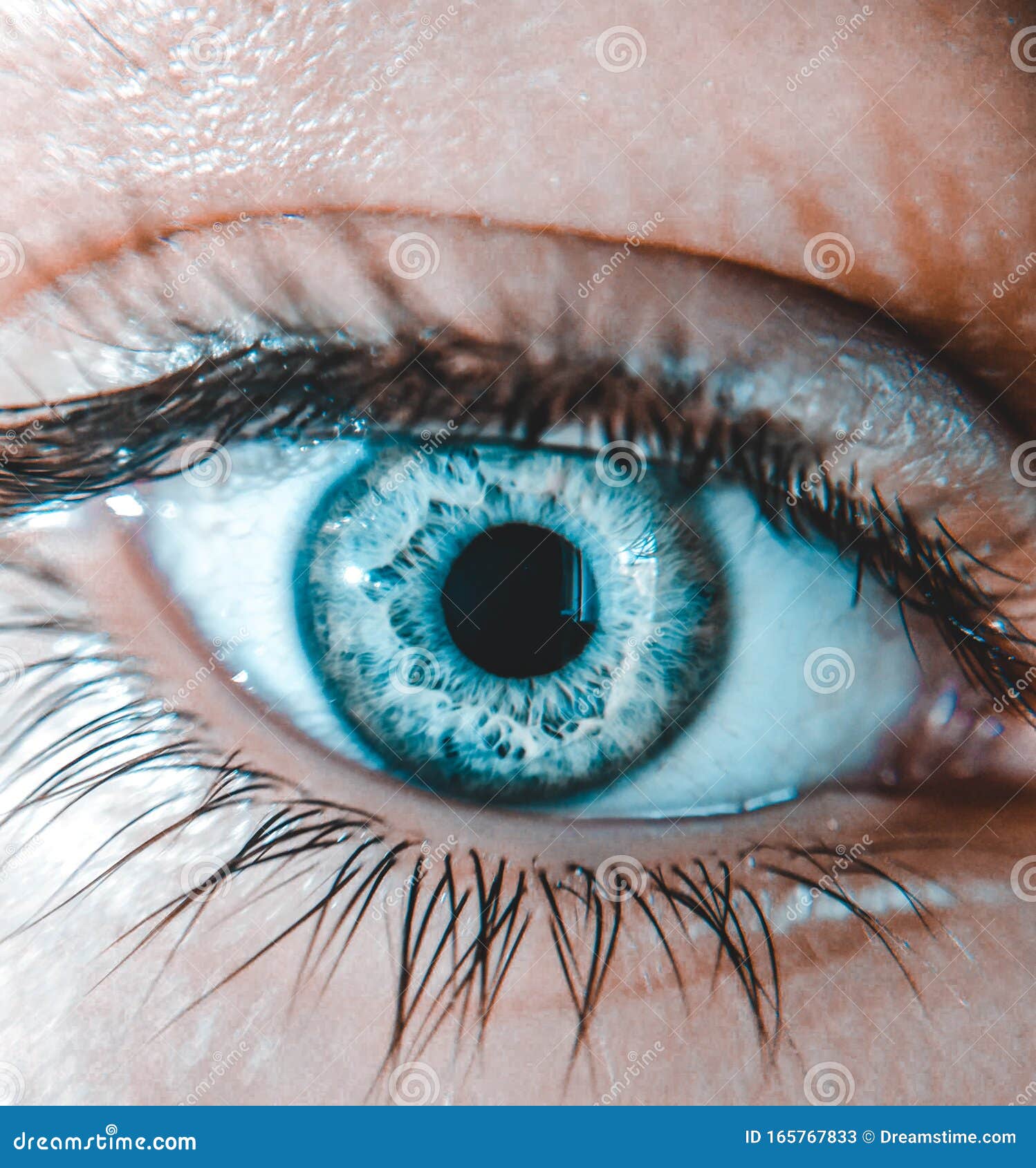 Ojo humana imagen de archivo. Imagen de primer, humano - 165767833