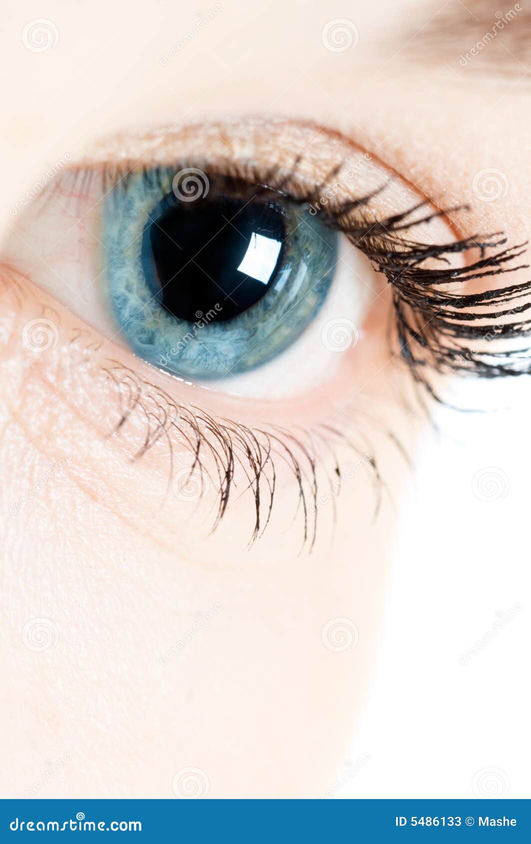 Ojo humano imagen de archivo. Imagen de travieso, frentes - 5486133