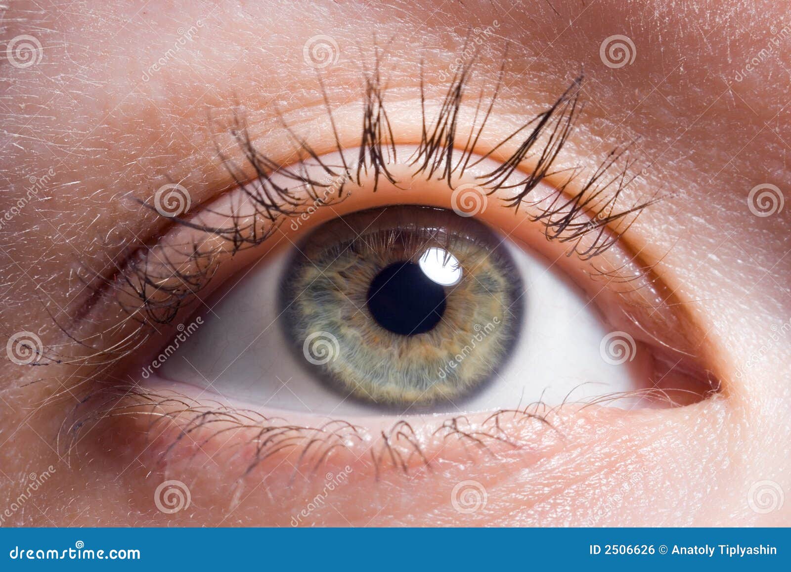 Ojo humano macro foto de archivo. Imagen de azul, diafragma - 2506626