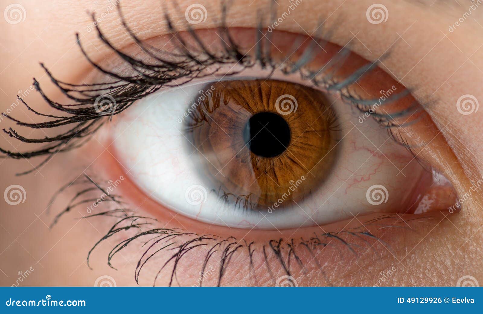Ojo humano Macro foto de archivo. Imagen de belleza, contextos - 49129926