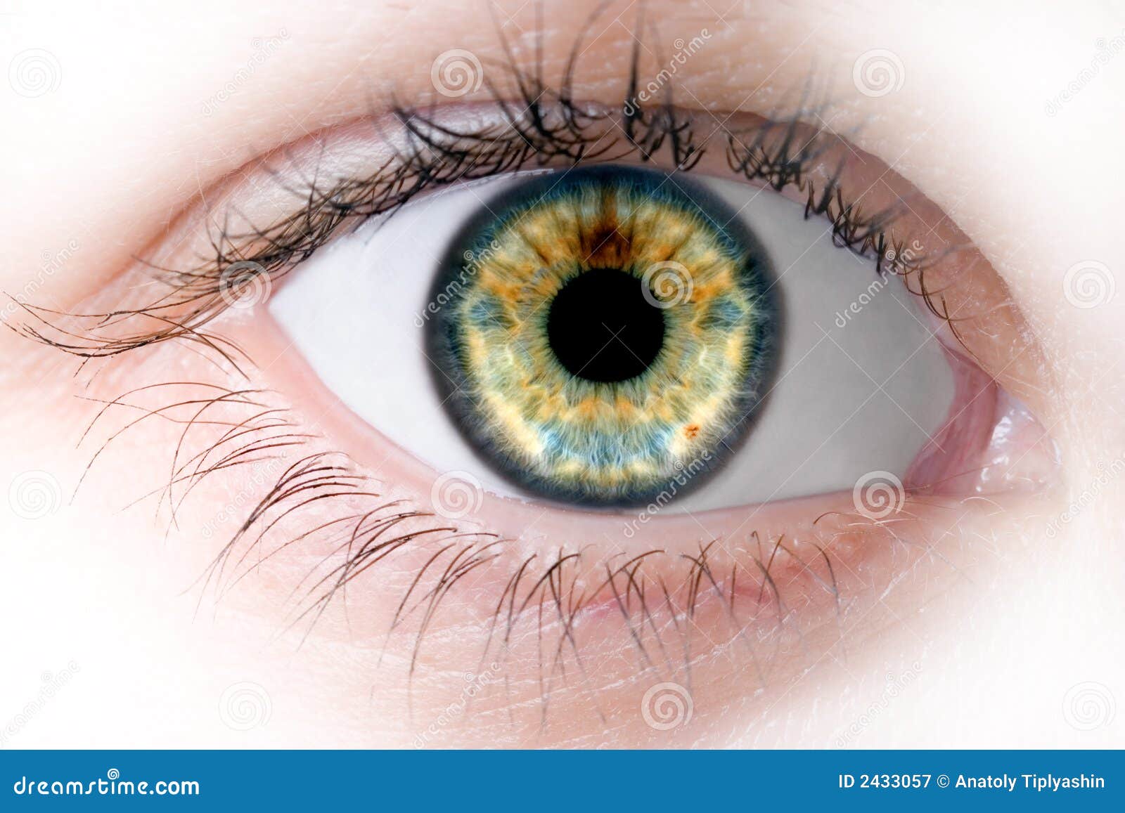 Ojo Macro Humano De La Belleza Imagen de archivo - Imagen de suave ...