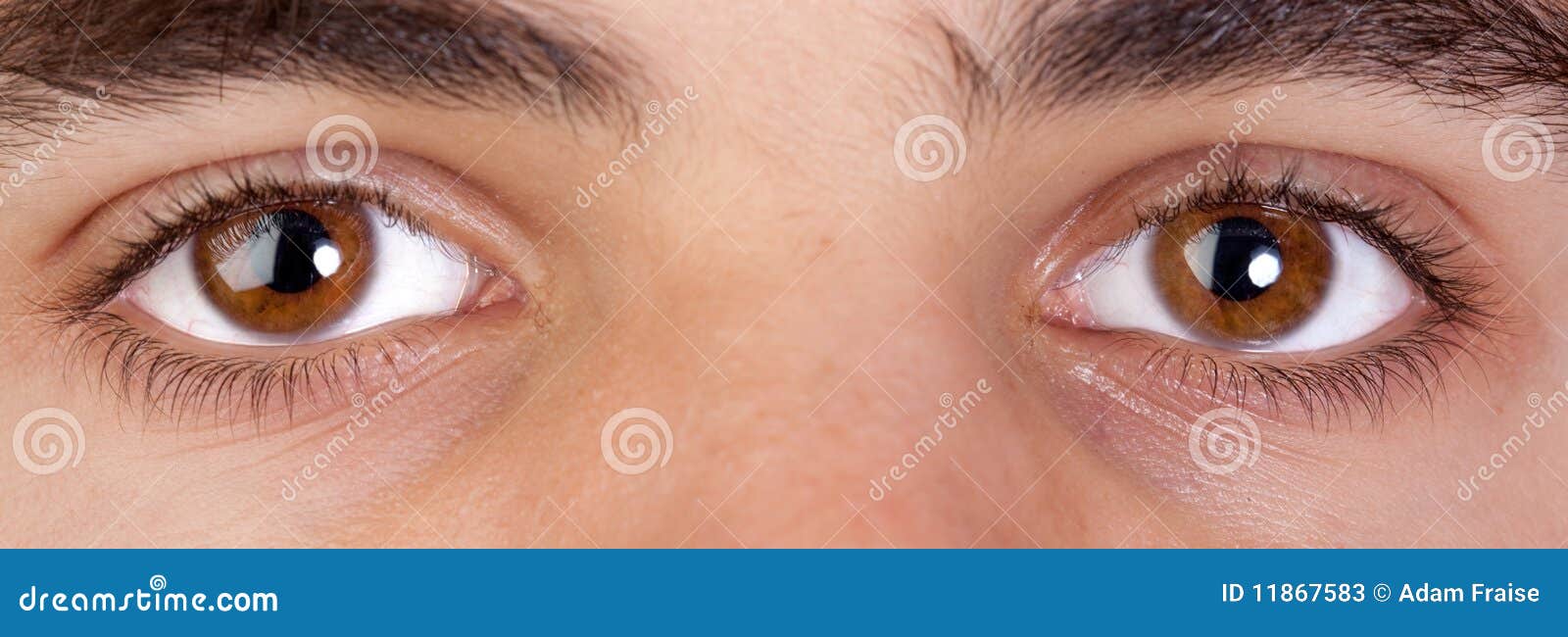 Ojos imagen de archivo. Imagen de observar, eyeball, fijo - 11867583