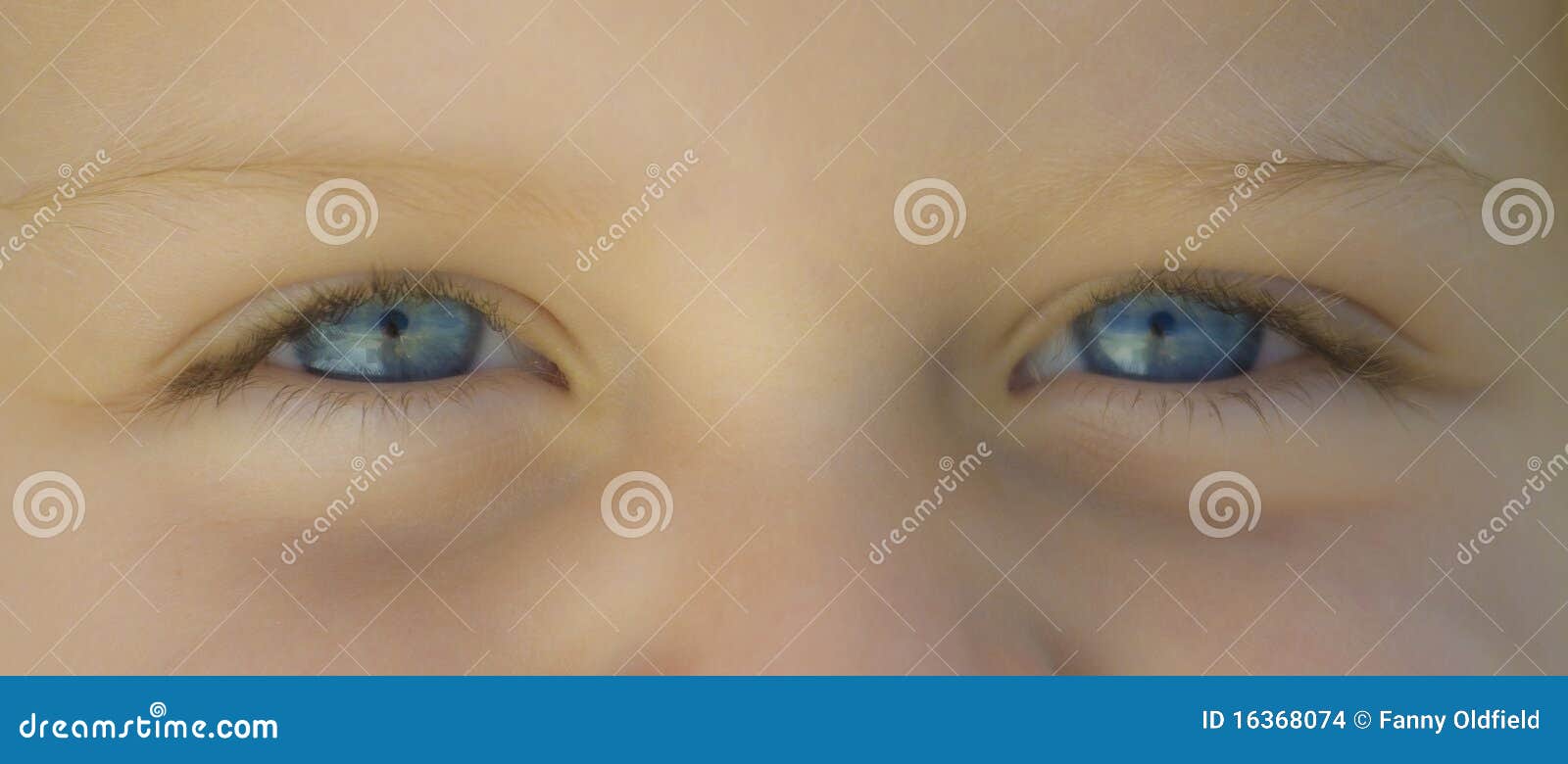 Ojos azules foto de archivo. Imagen de amor, pureza, inocente - 16368074