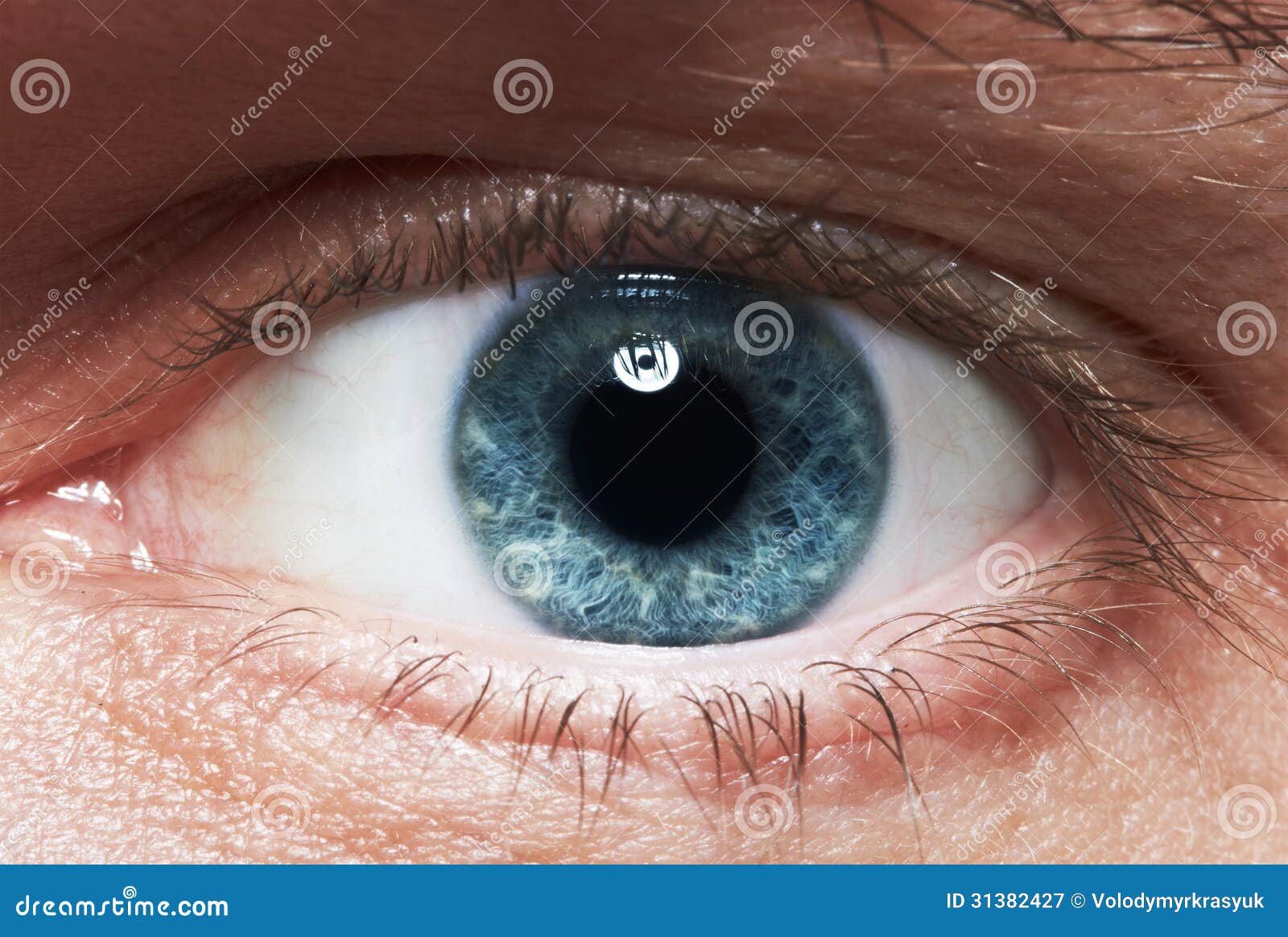 Ojos azules imagen de archivo. Imagen de visual, joven - 31382427