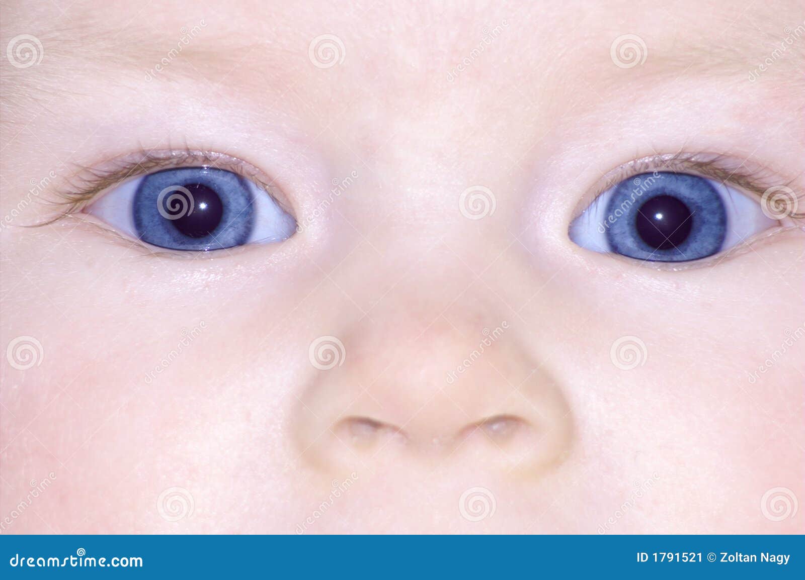 Ojos azules de bebé imagen de archivo. Imagen de macro - 1791521