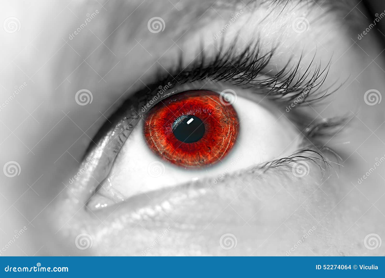 Ojos Azules De La Mirada Profunda Foto de archivo - Imagen de hombre ...