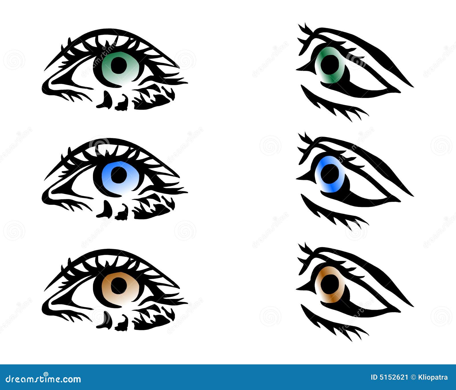 Ojos del vector stock de ilustración. Ilustración de belleza - 5152621
