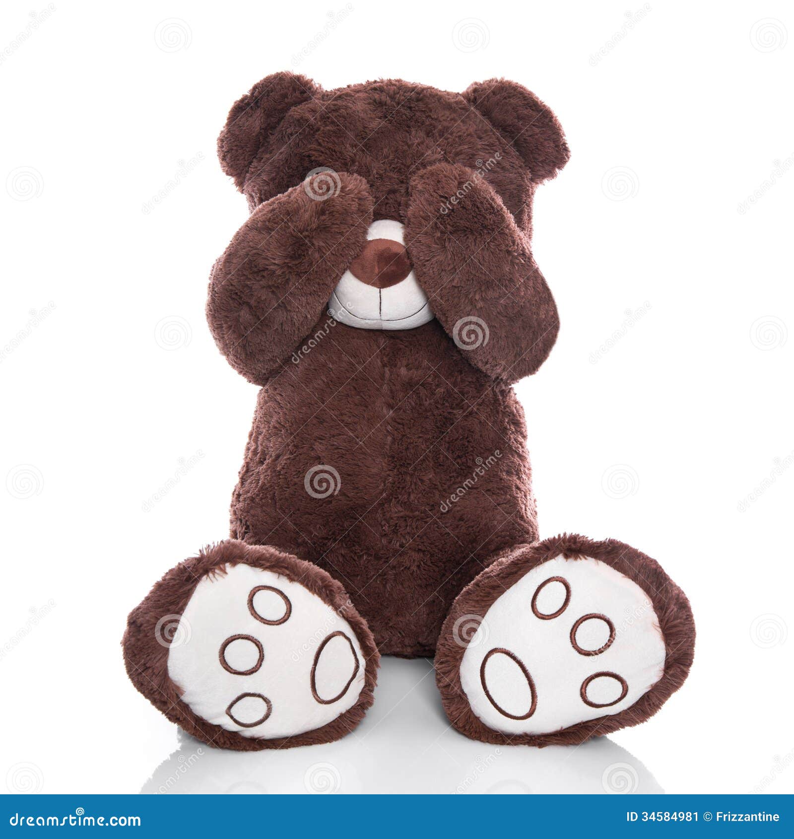 Ojos Solos De La Cubierta Del Oso De Peluche Aislados En El Fondo Blanco S Imagen De Archivo