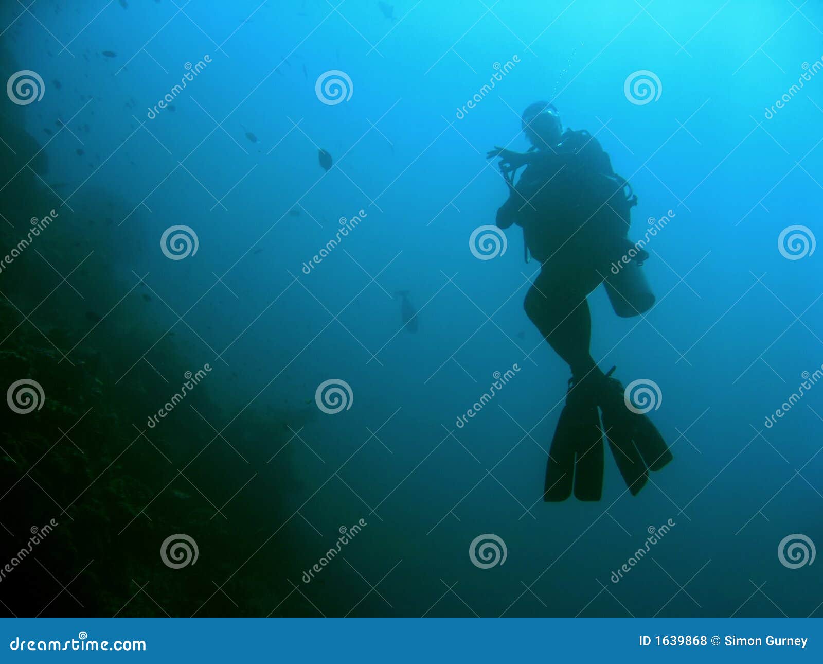 Ok Sign Scuba Diver Sipadan Stock Photo - Image of diving, diver: 1639868
