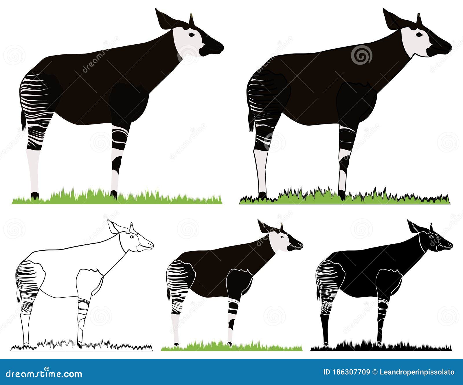 Okapi Animal Vector Illustration.African Animal Illustration Okapi ...
