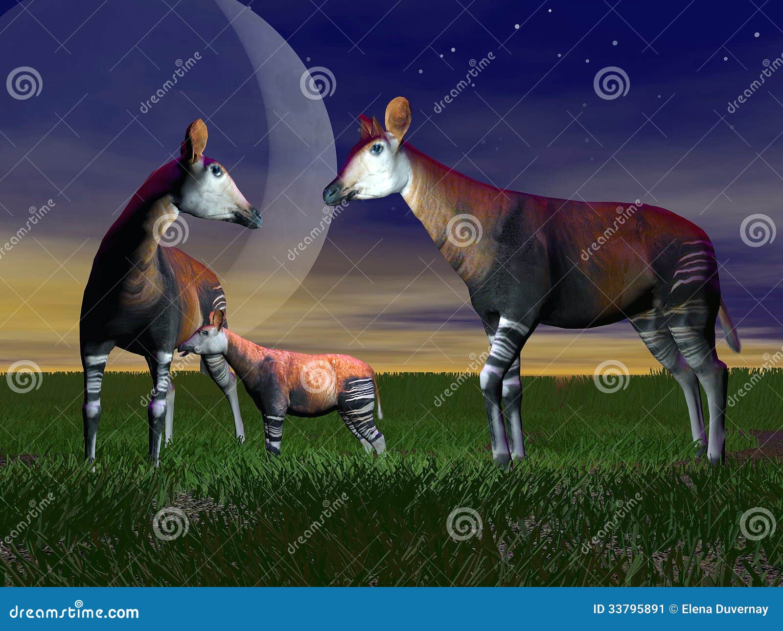 Okapi Standing On Two Legs Animal Cartoon Character Vector Illustration ...