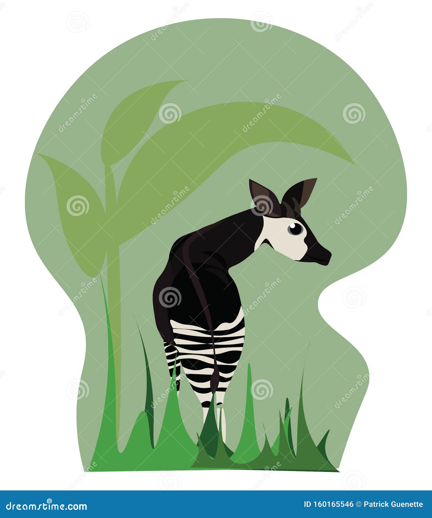 Okapi Vector Silhouette Illustration Isolated On White Background ...