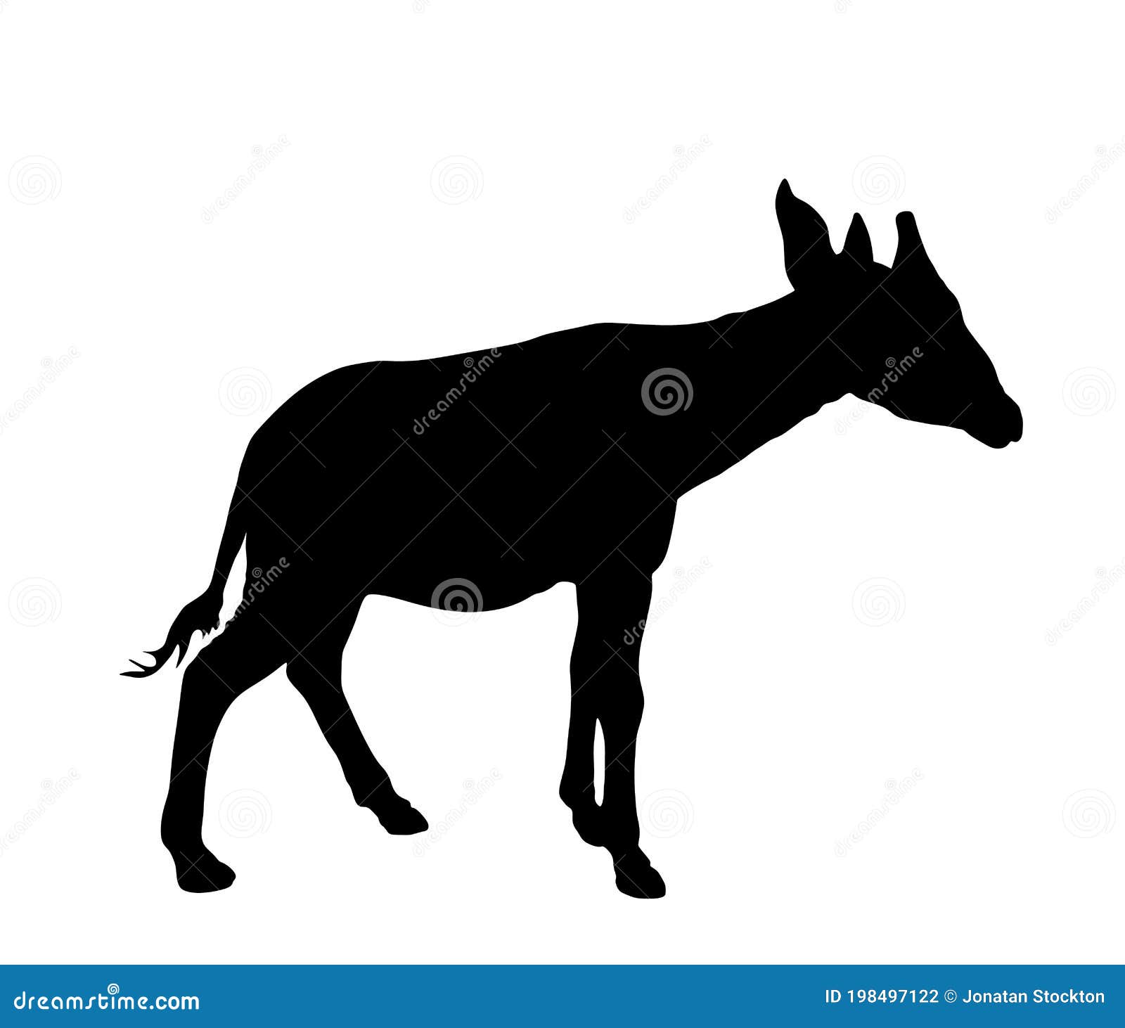 Okapi Vector Silhouette Illustration Isolated on White Background ...