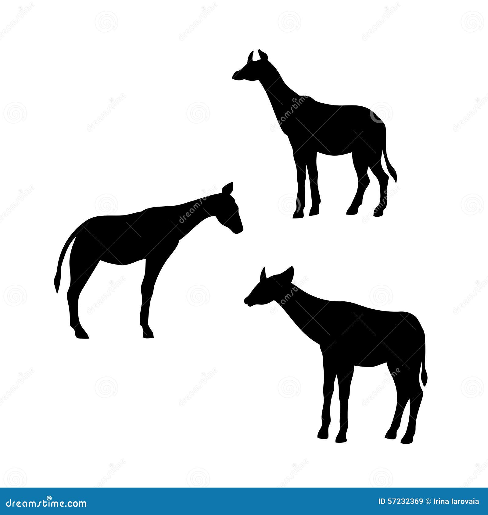Okapi Vector Silhouette Illustration Isolated On White Background ...