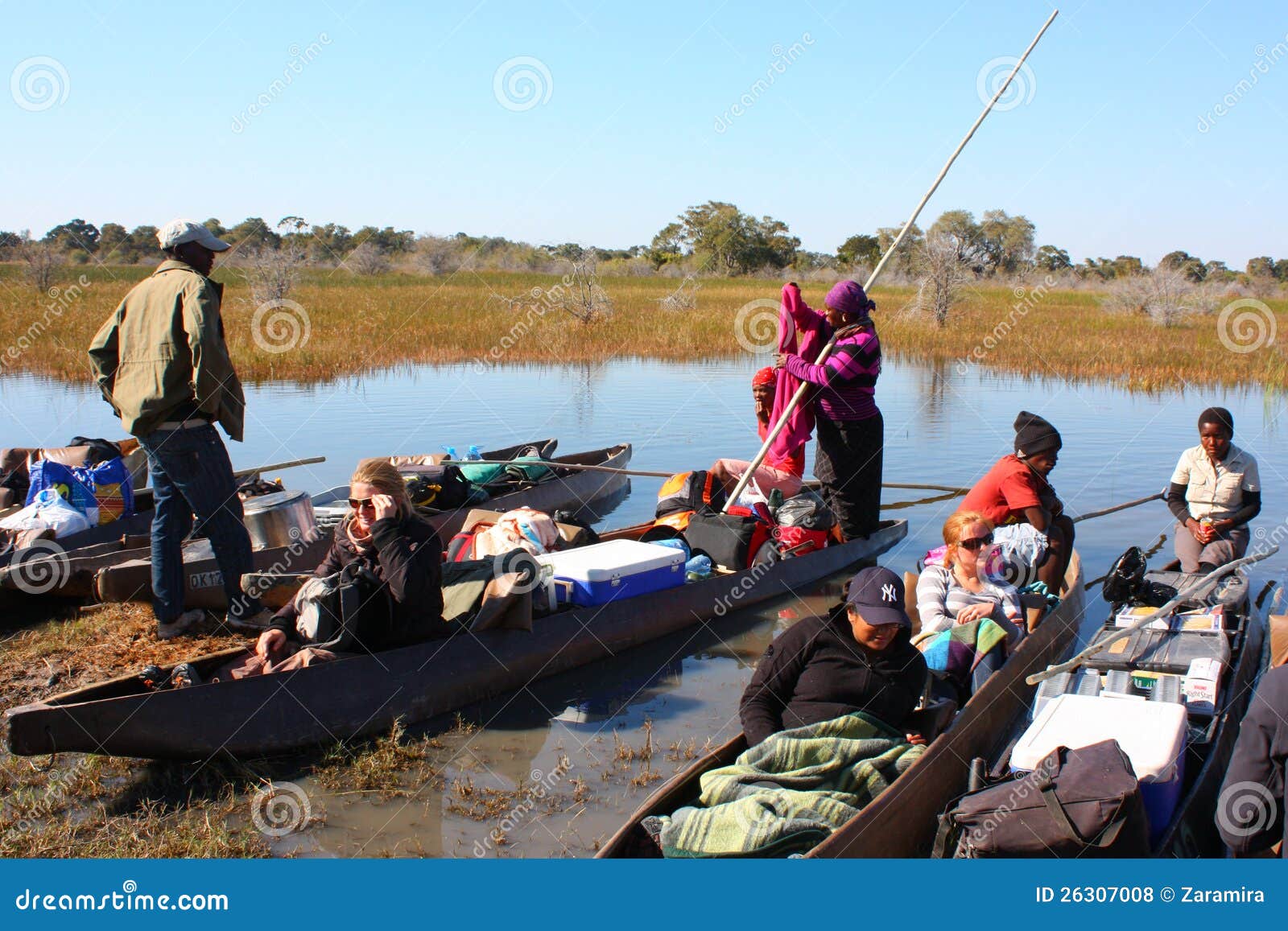 Okavango Delta editorial stock photo. Image of guide - 26307008