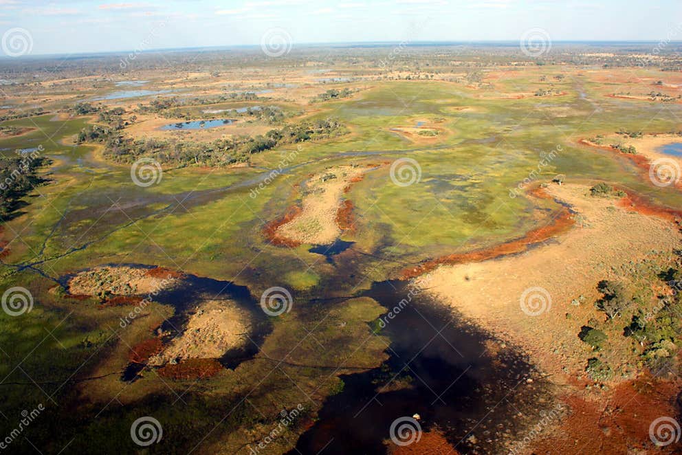 Okavango Delta stock image. Image of locals, cessna, africa - 26407853