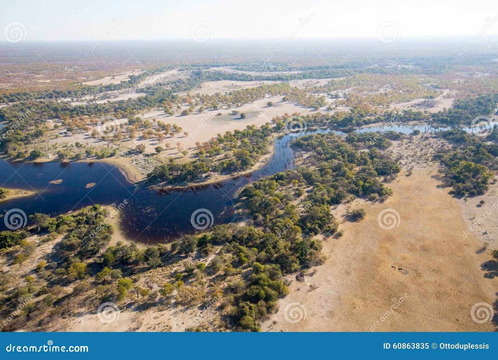 Okavango Delta stock image. Image of natural, okavango - 60863835