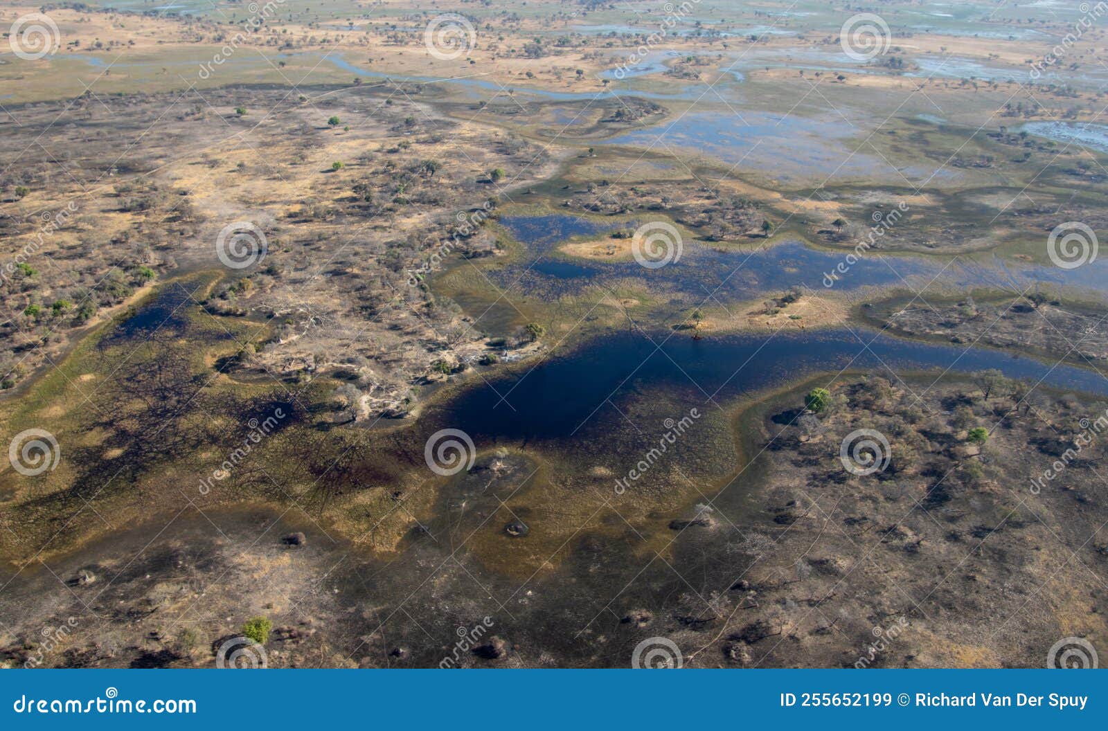 Okavango Delta in Botswana Seen from Above Stock Image - Image of ...
