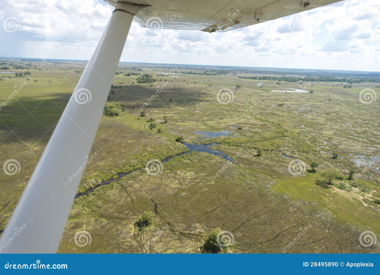 Okavango Delta Viewed from a Plane Stock Photo - Image of lush ...