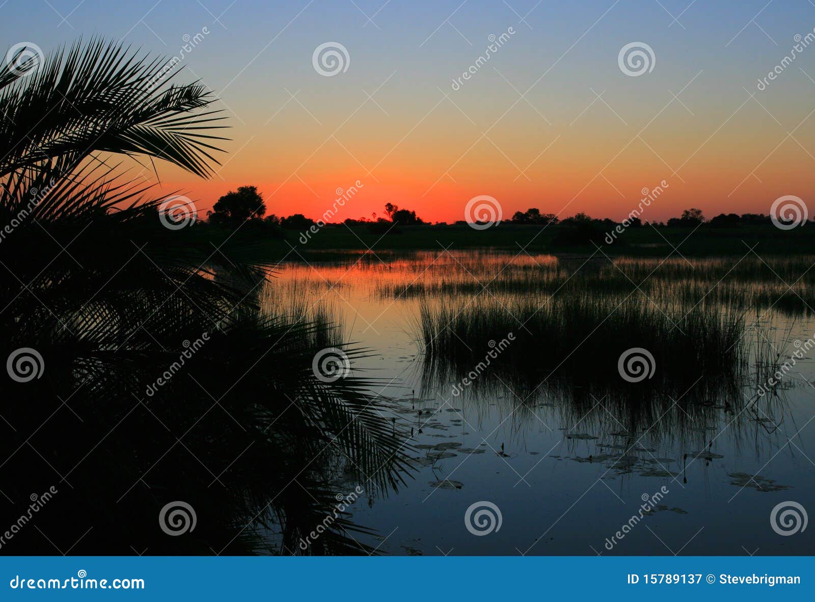 Okavango sunset stock image. Image of peaceful, wilderness - 15789137