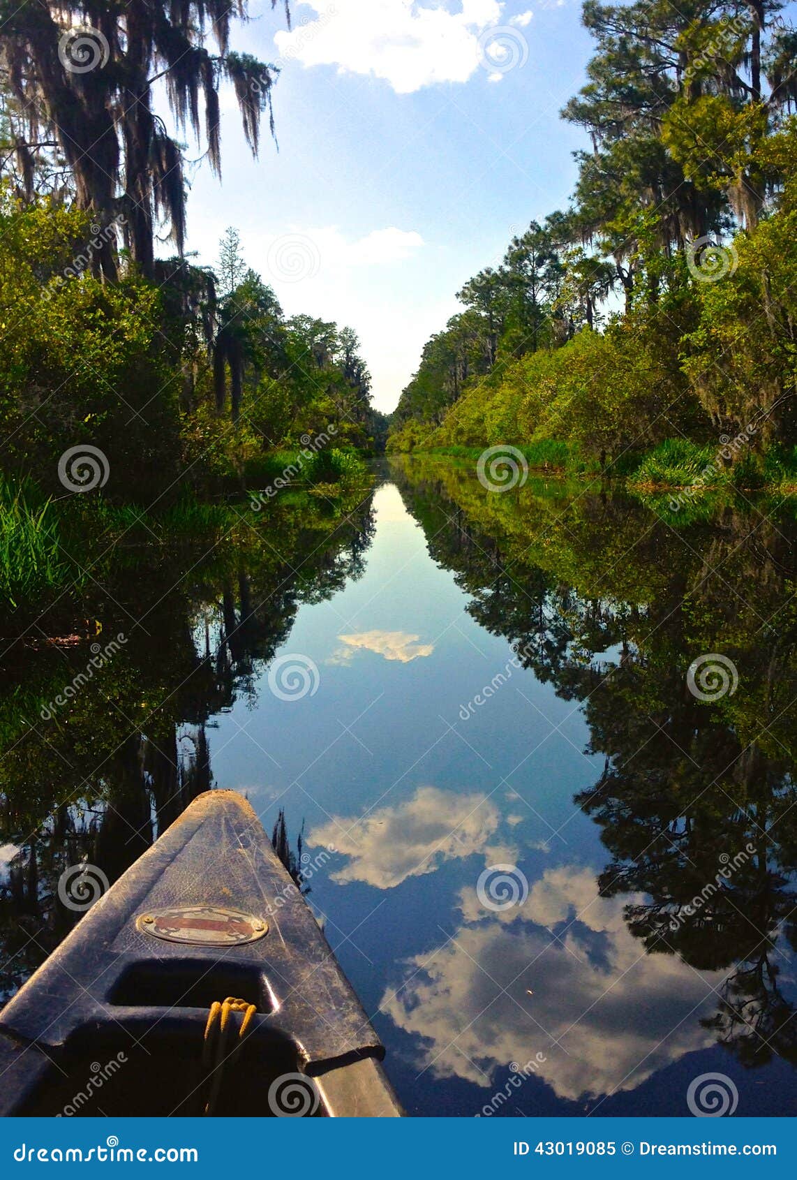 Okefenokee Swamp stock image. Image of canoe, swamp, okefenokee - 43019085
